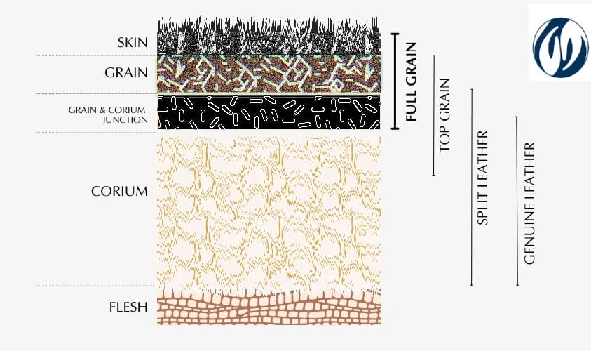 A Comprehensive Guide to Leather and Its Unique Varieties - Mayim Leathers